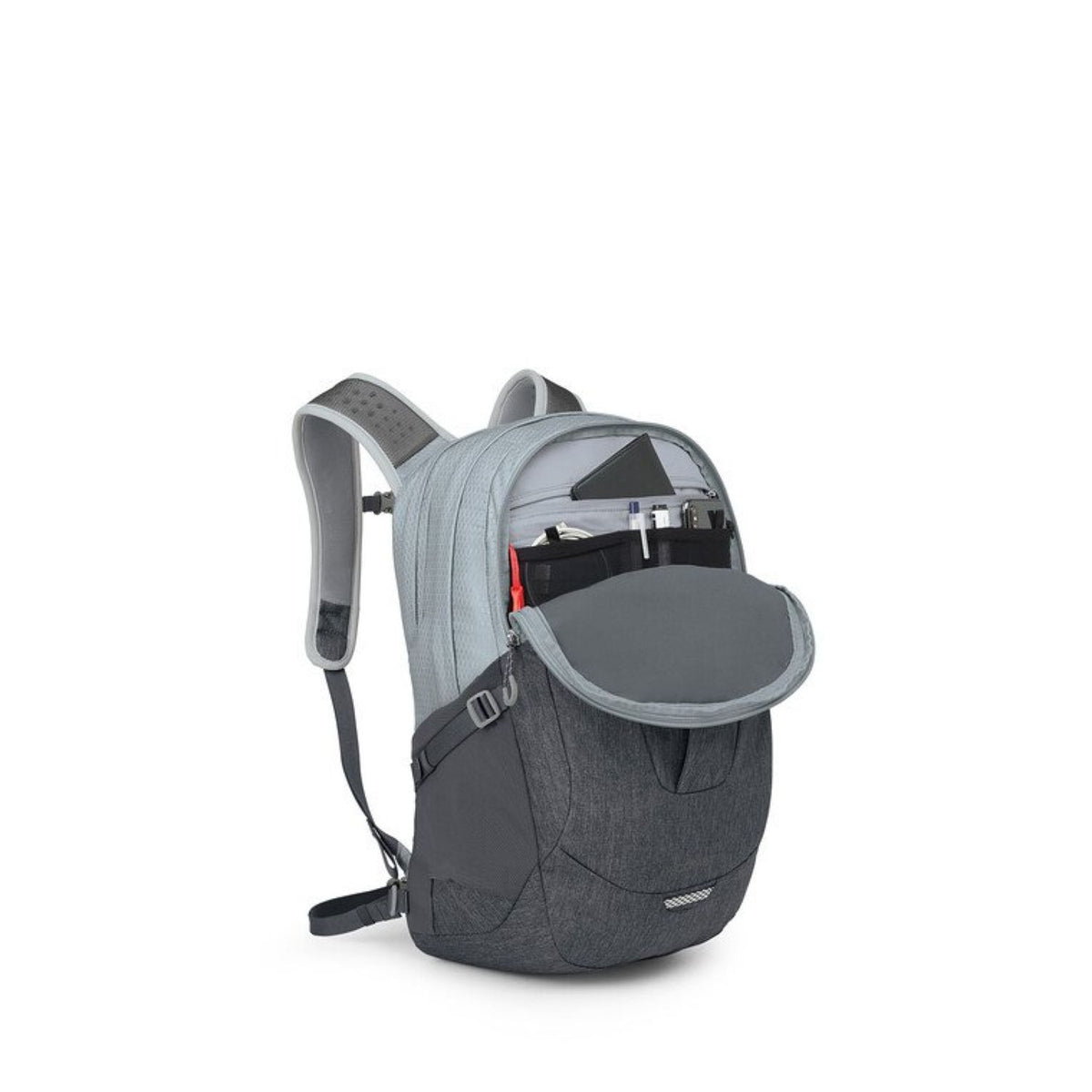 Osprey Comet 30L Backpack - Everyday - Commute (Silver Lining/Tunnel V ...