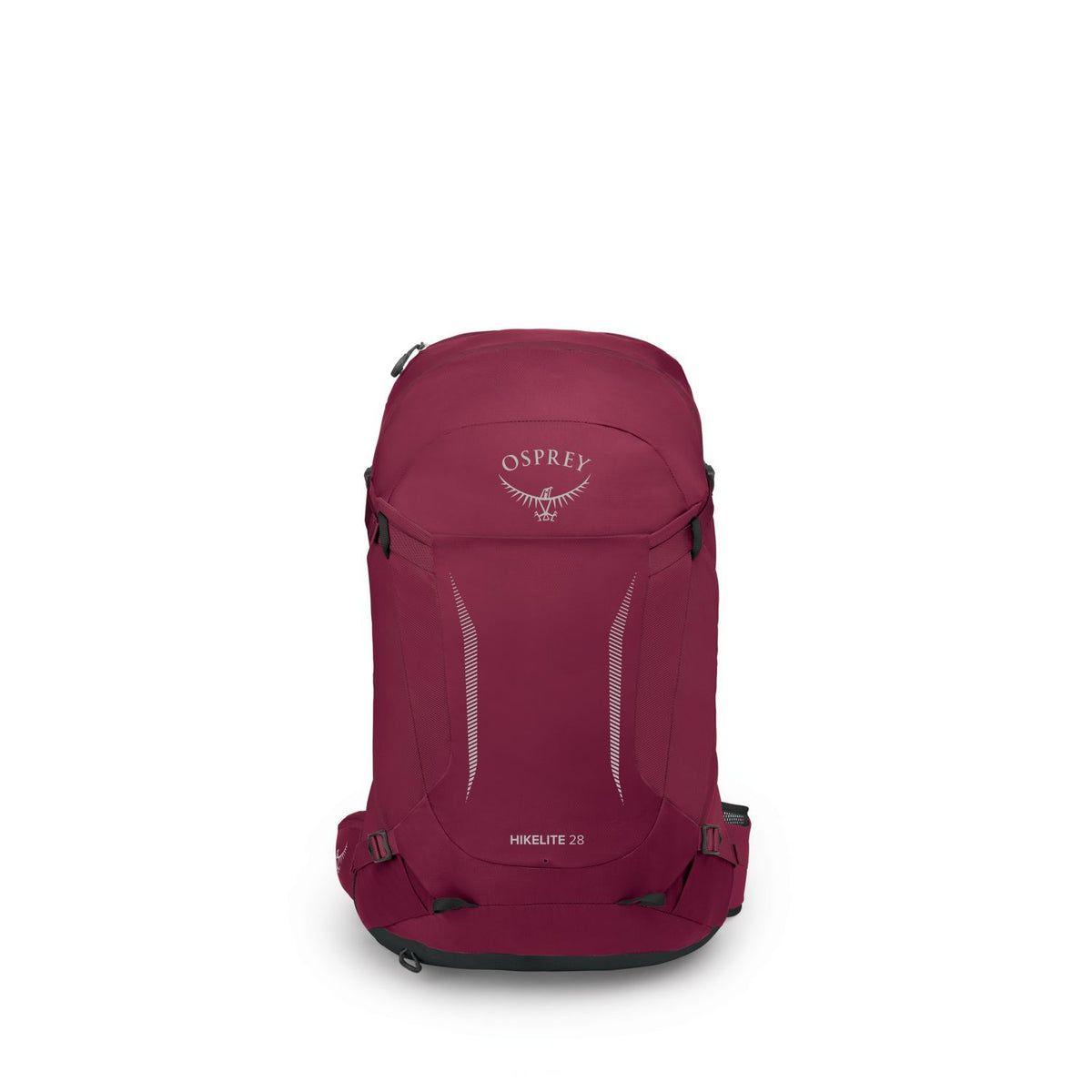 Osprey Hikelite 28 Backpack M/L - Chameleon/Black – The Planet Traveller