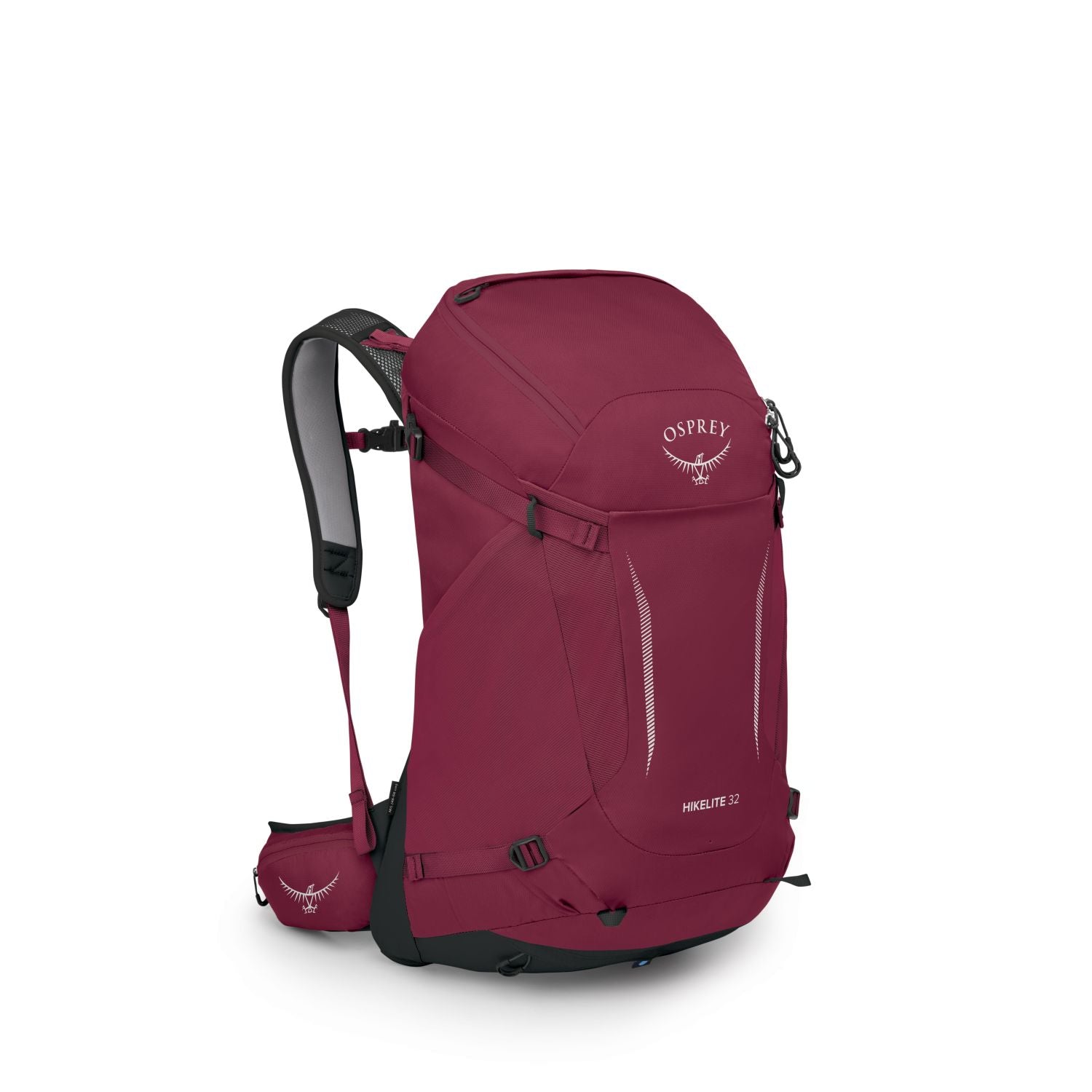 Osprey Hikelite 28 Backpack M/L - Chameleon/Black – The Planet Traveller