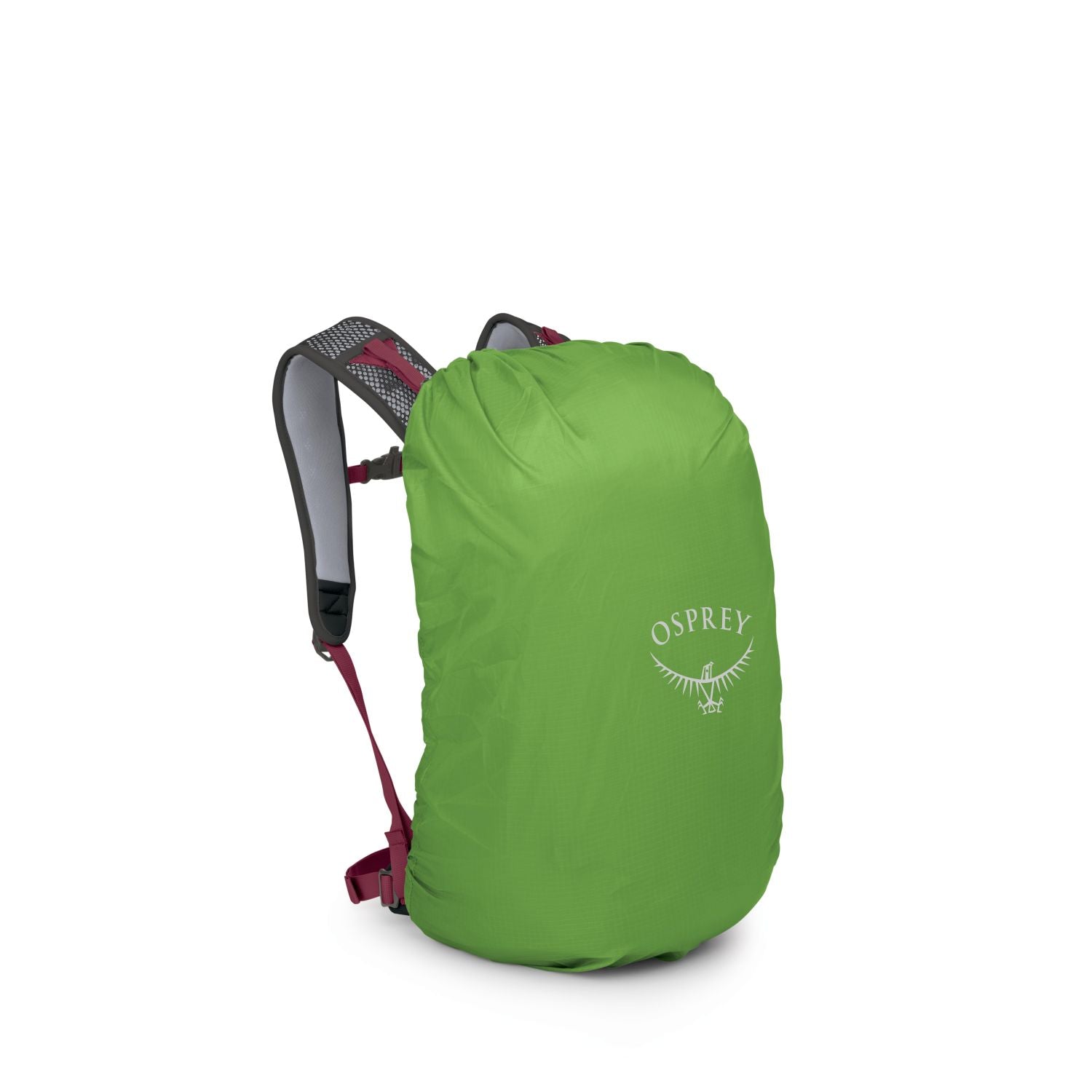 Osprey Hikelite 28 Backpack M/L - Chameleon/Black – The Planet Traveller