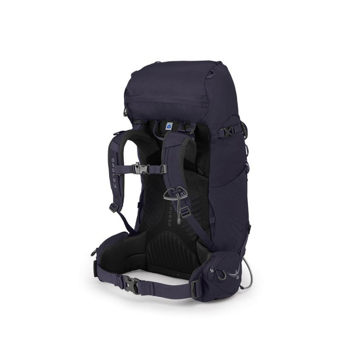 Osprey Kyte 36 Backpack - Extra Small/Small - Women's Backpacking - Da ...